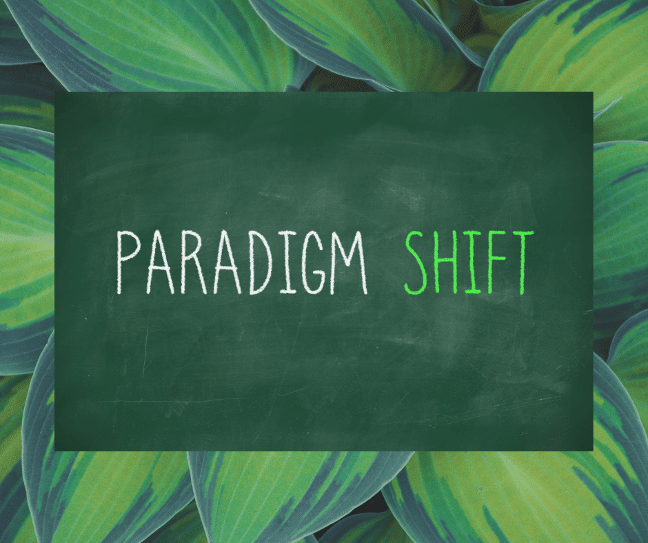 STEP FIVE: QUESTION AND RELEASE THE PARADIGM